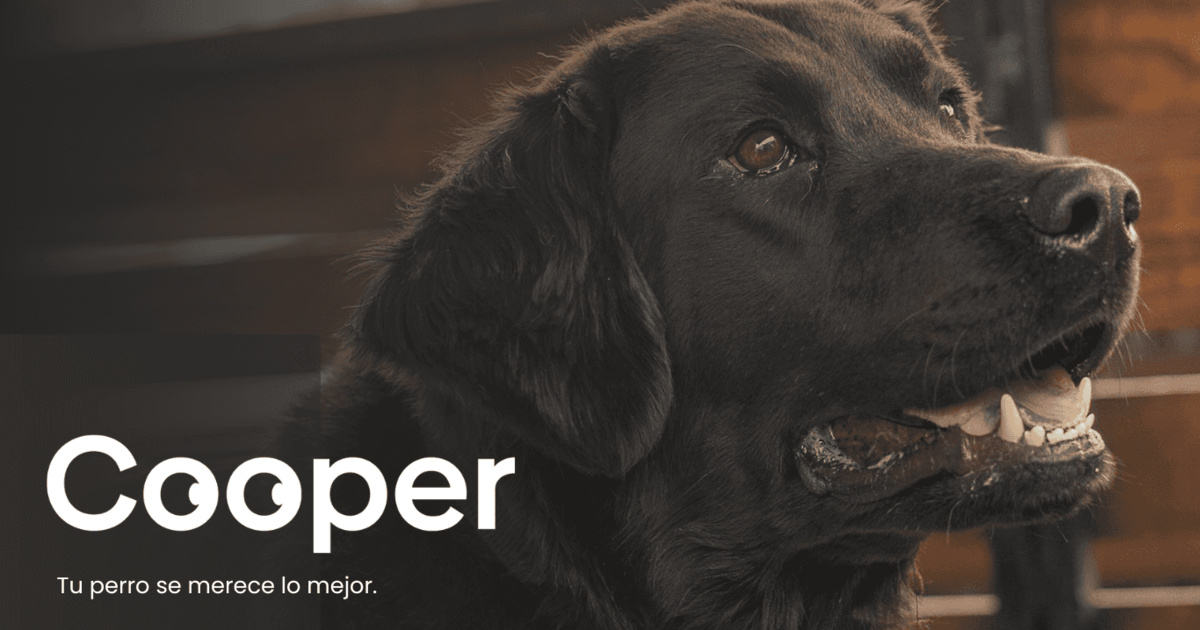 Cooper - Tu perro merece lo mejor